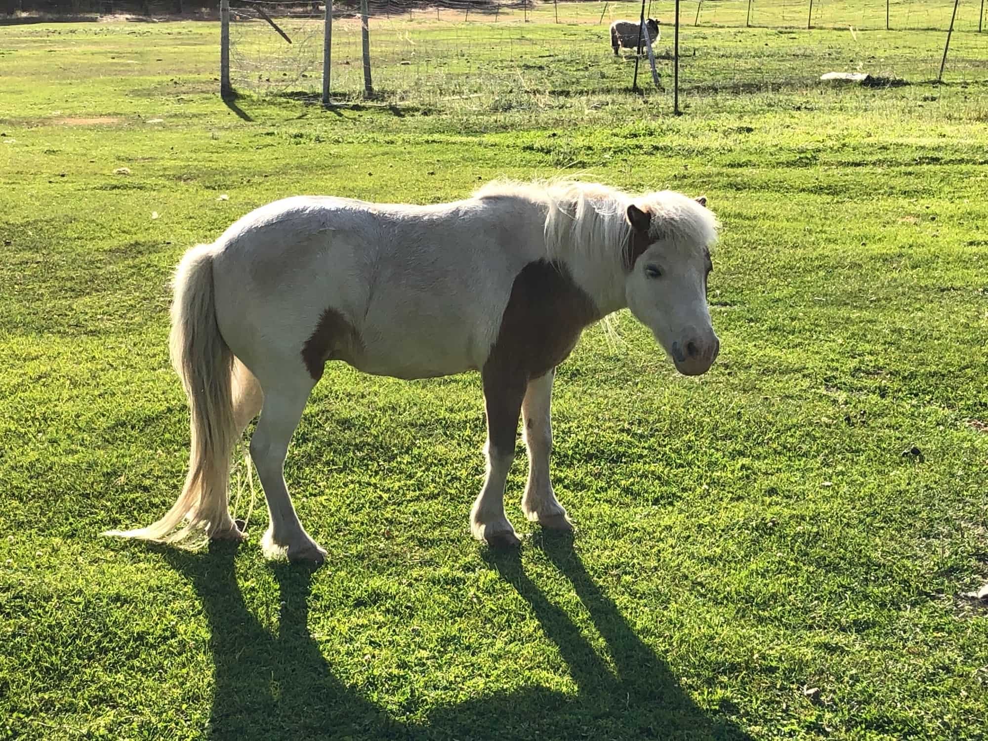 Facilities | Peniel Ranch
