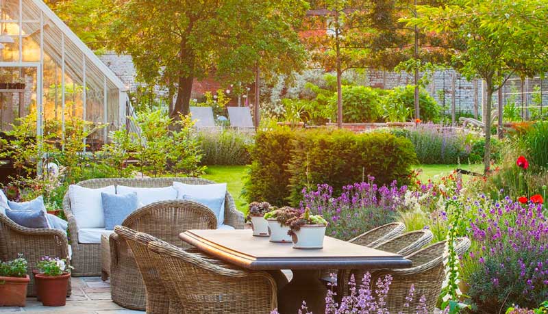 Cow-Shed Business Startup Support Guildford Surrey