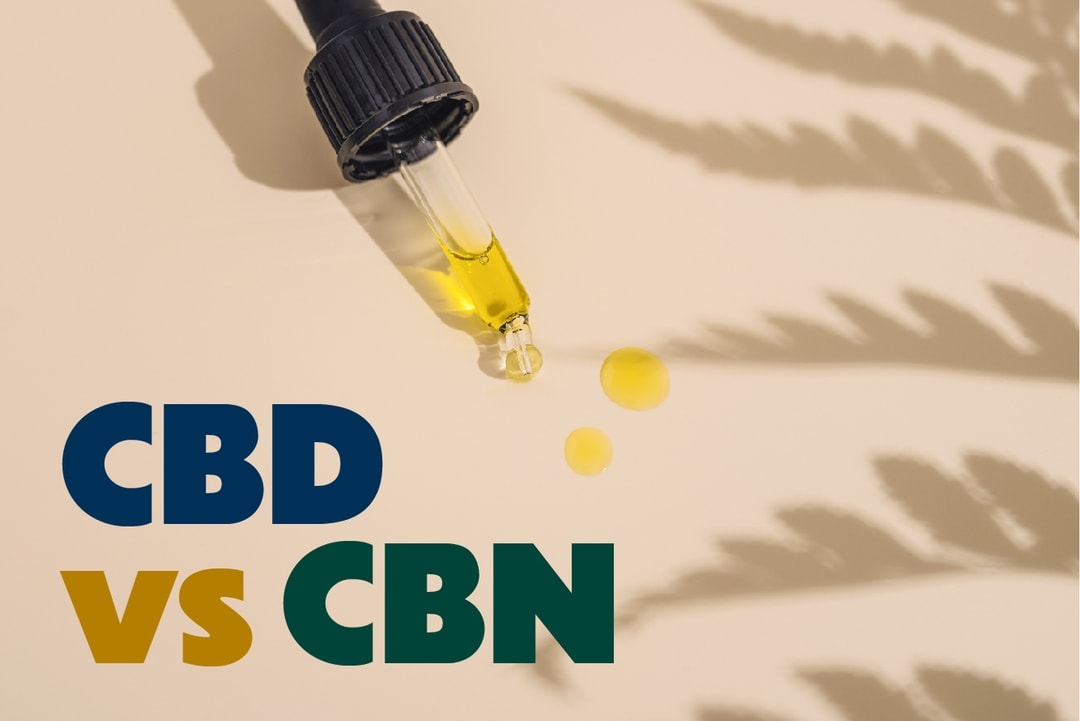 The difference between CBD vs CBN