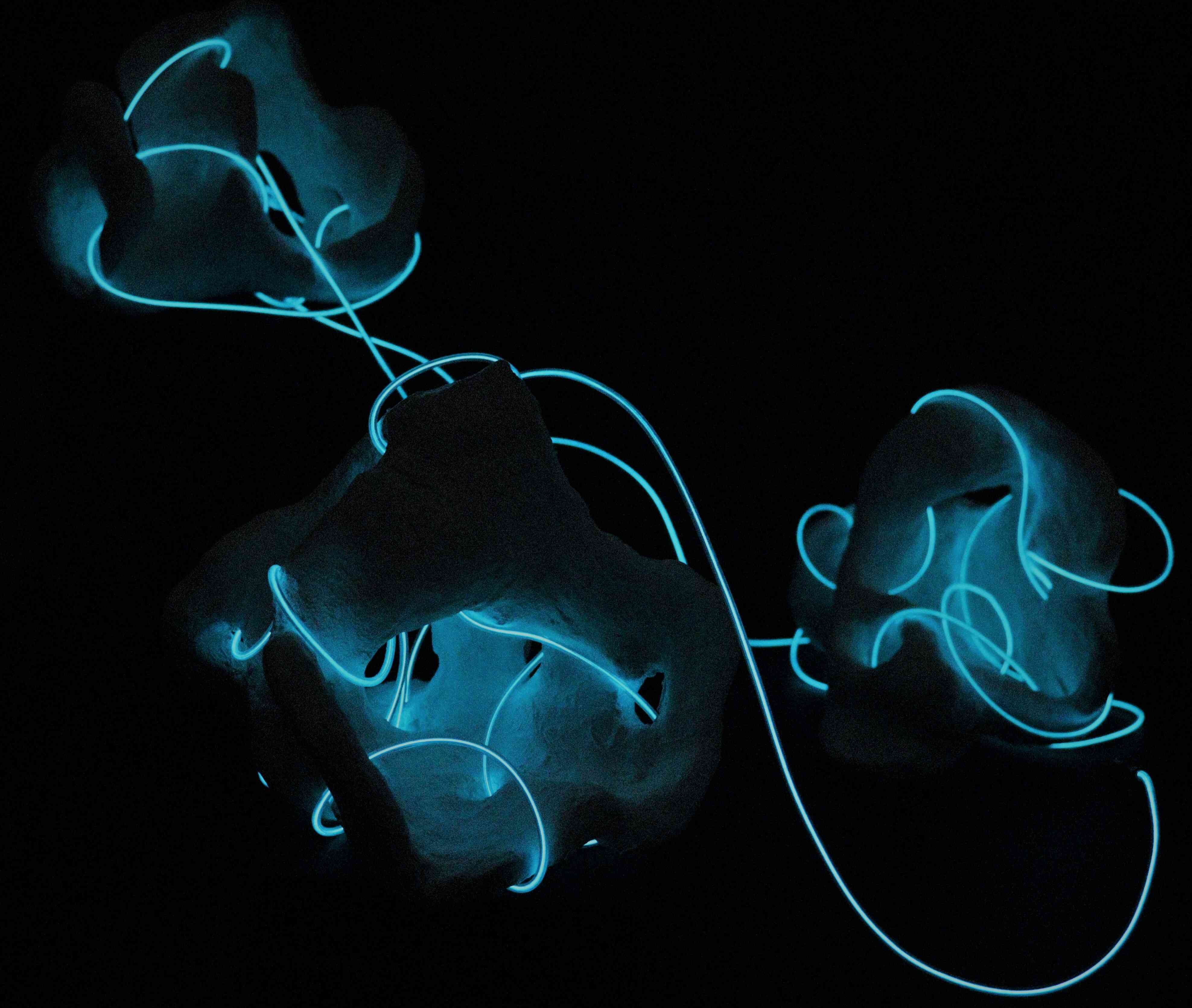 Calligraphy of Light