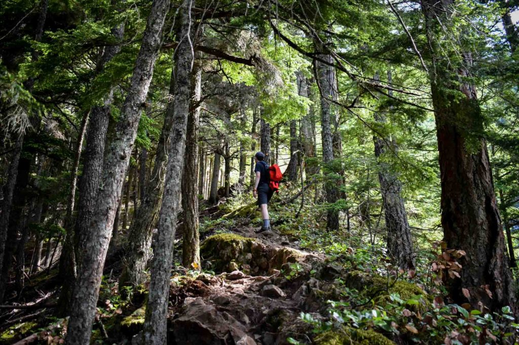 Mt. Harvey - One of the Best Hikes in Vancouver!