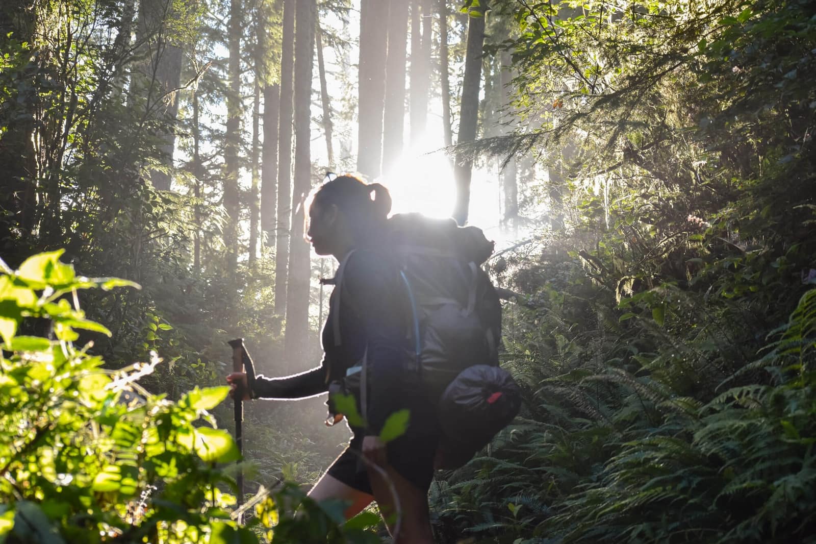 Myra Falls Hike on Vancouver Island: A Must-See Waterfall in Strathcona