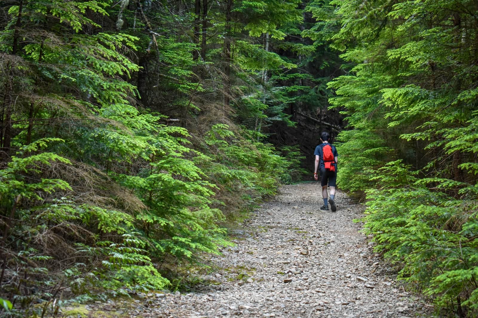 Mt. Harvey - One of the Best Hikes in Vancouver!