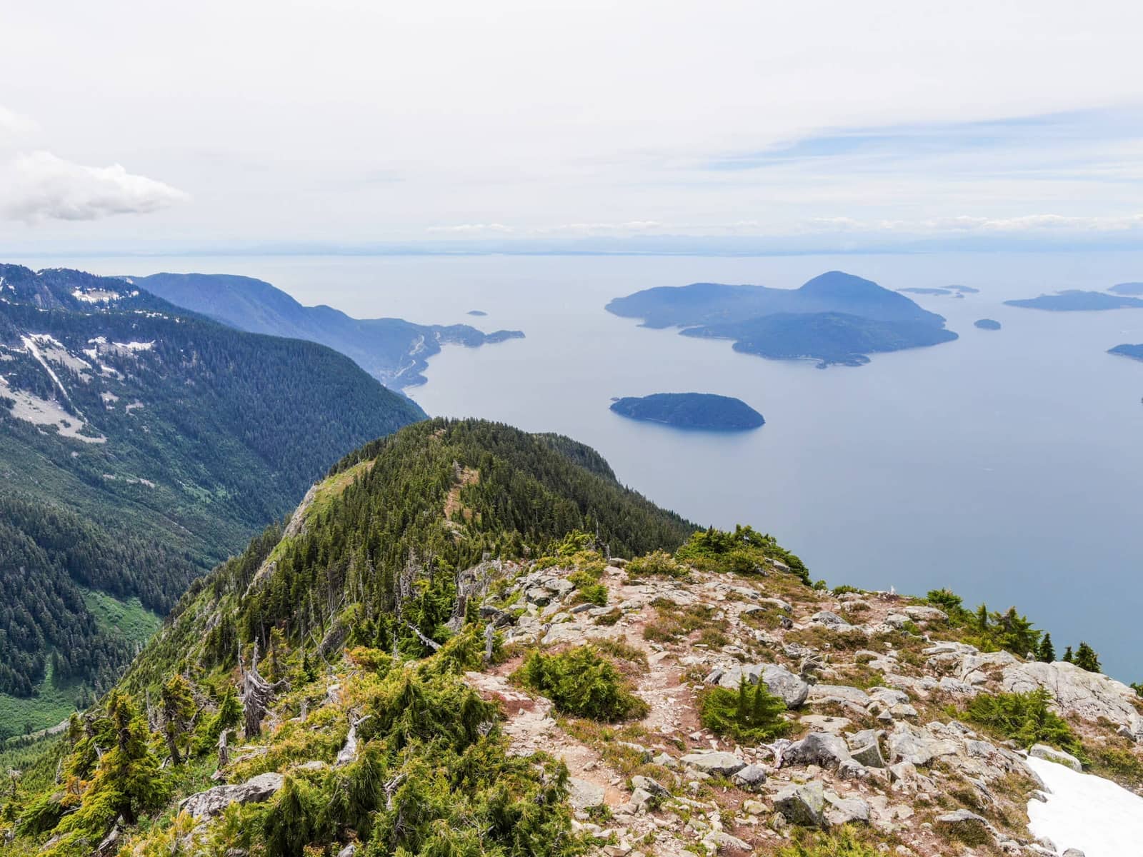 Mt. Harvey - One of the Best Hikes in Vancouver!