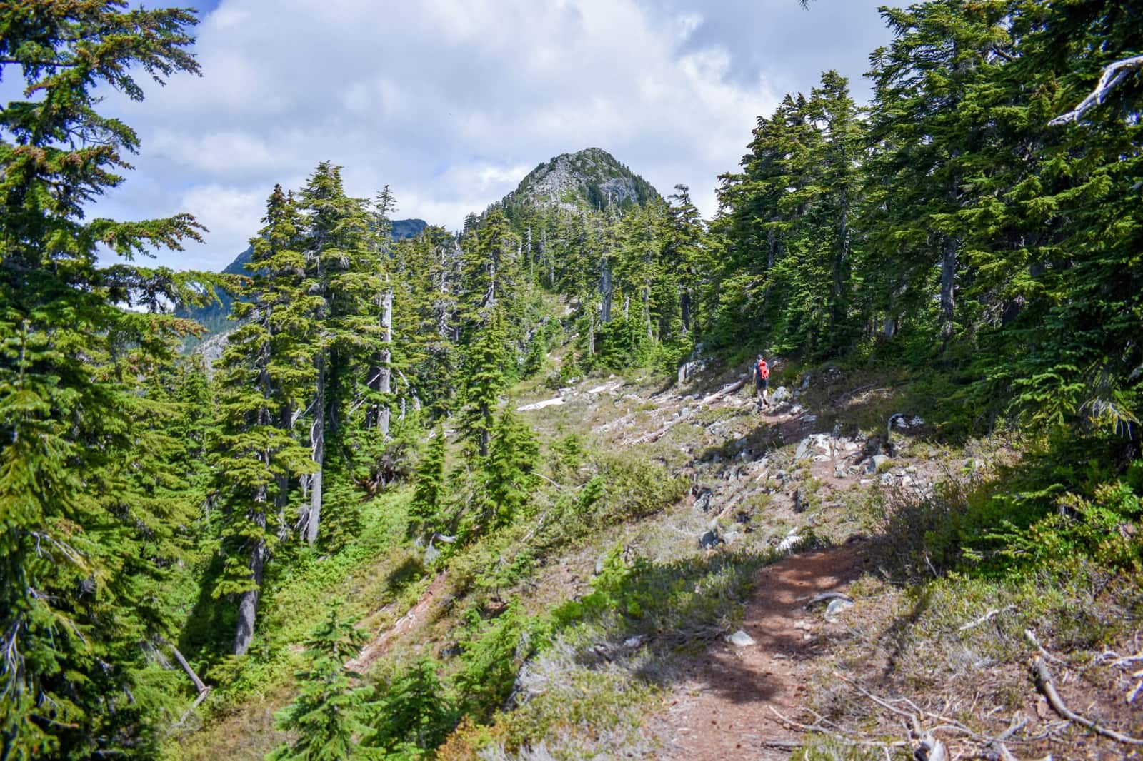 Mt. Harvey - One of the Best Hikes in Vancouver!