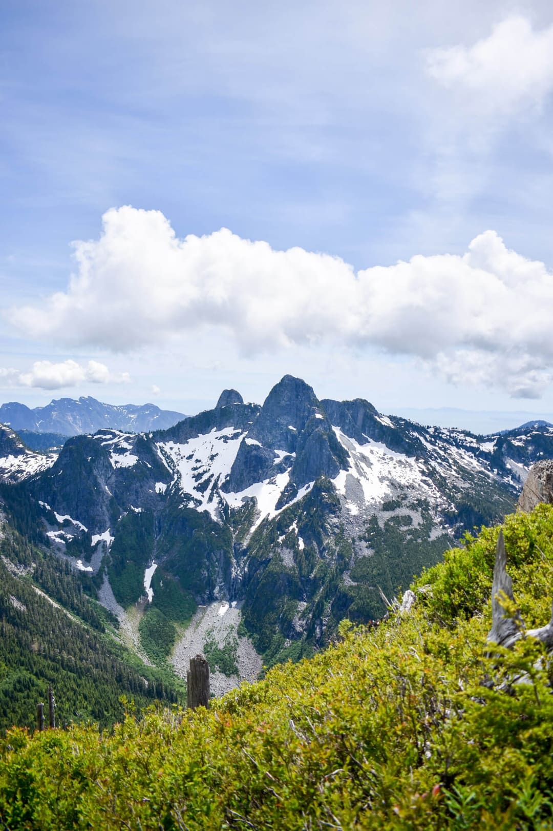 Mt. Harvey - One of the Best Hikes in Vancouver!