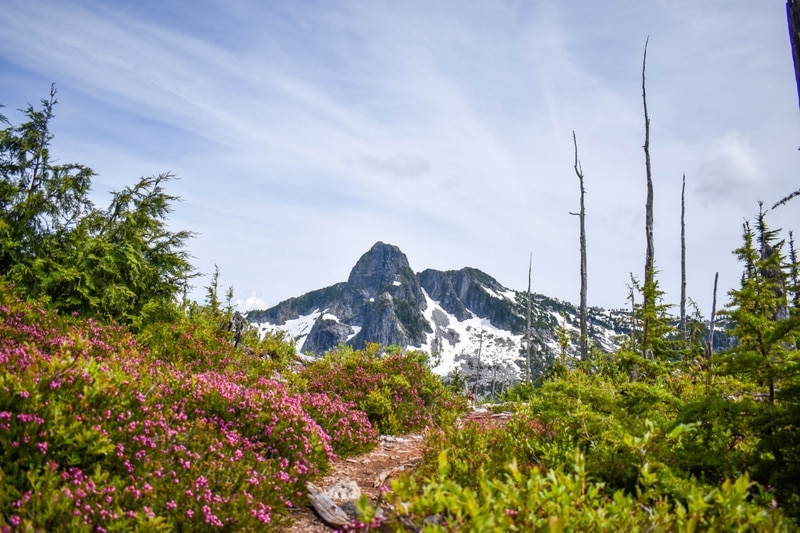 Myra Falls Hike on Vancouver Island: A Must-See Waterfall in Strathcona
