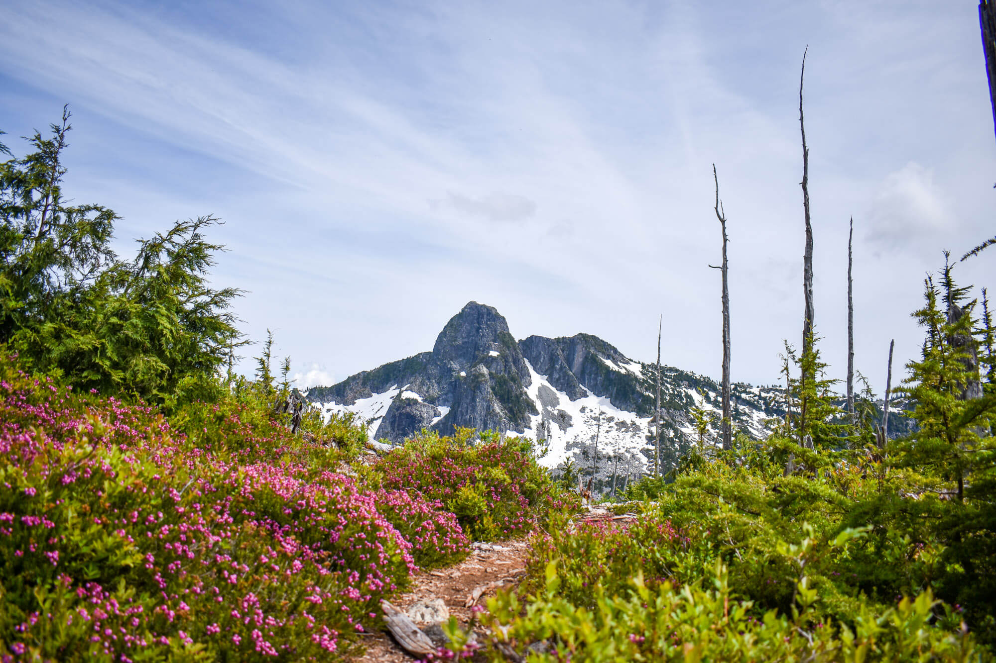 Mt. Harvey - One of the Best Hikes in Vancouver!