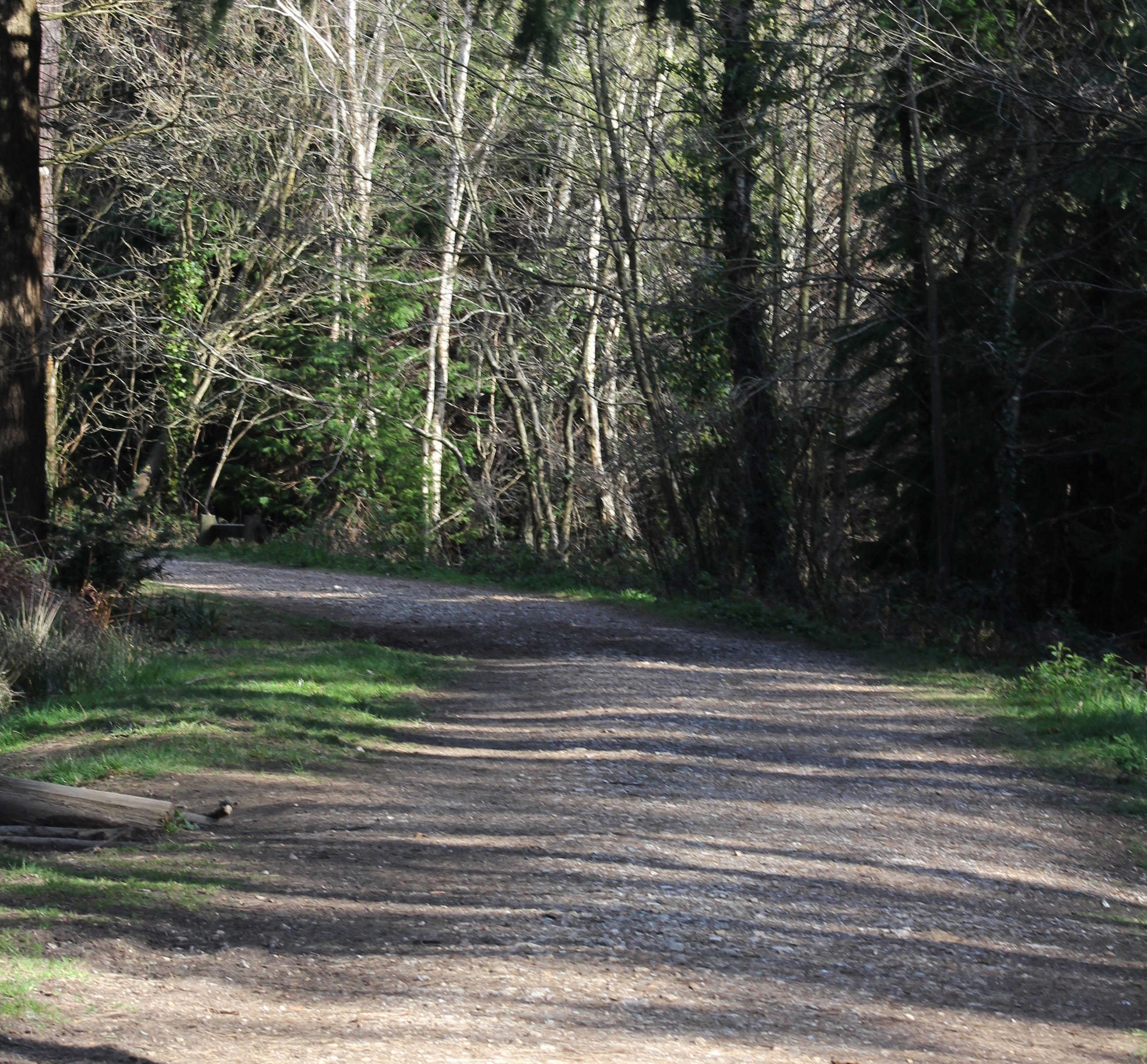 Alvington manor page