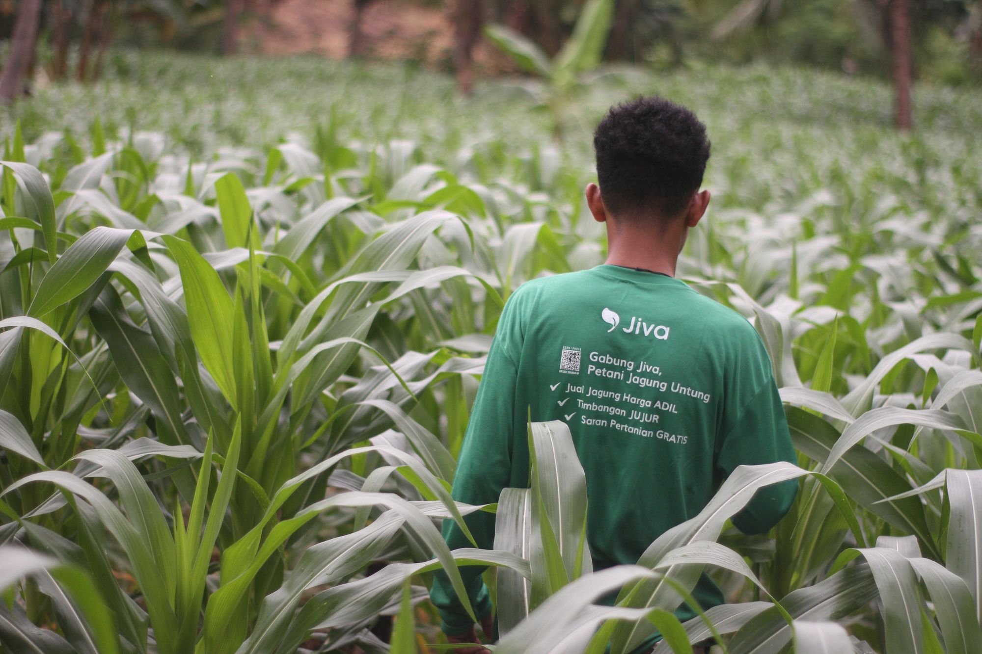 Jiva • Empowering smallholder farmers