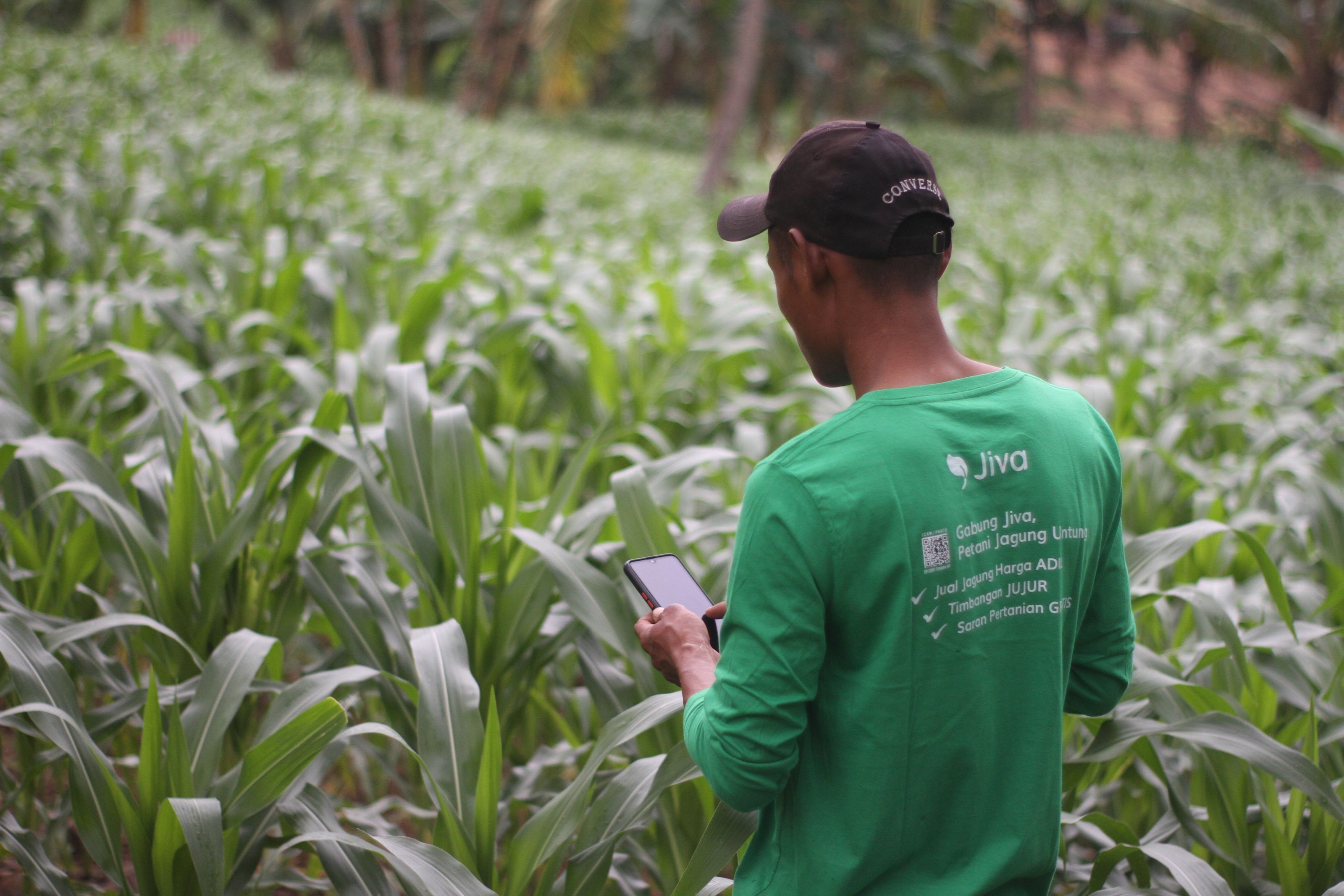Artificial Intelligence In Agriculture Overview Applications artificial-intelligence-in-agriculture-overview-applications