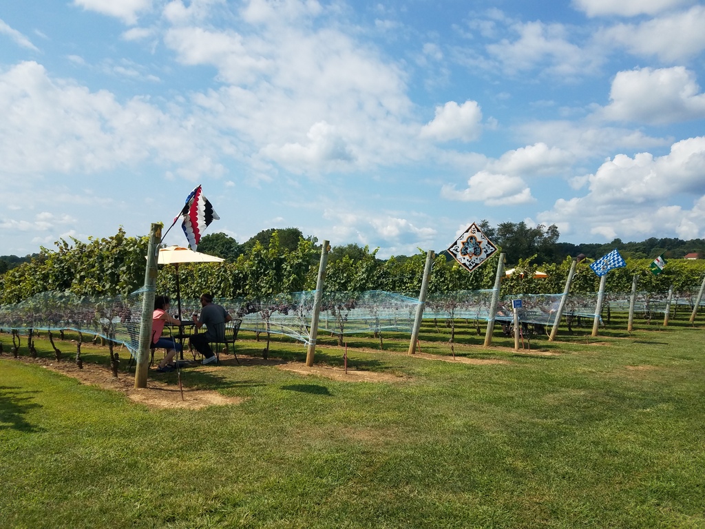 Visit Three Fox Vineyard & Brewery