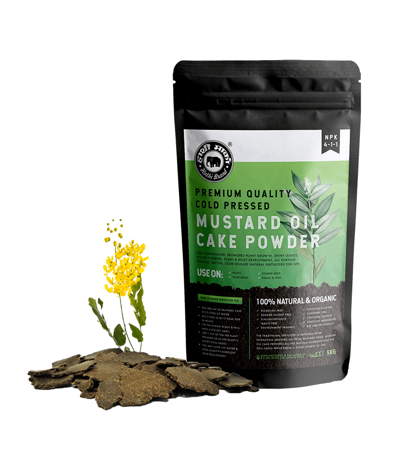 Hathi Brand - Over 100 years of quality, taste and excellence