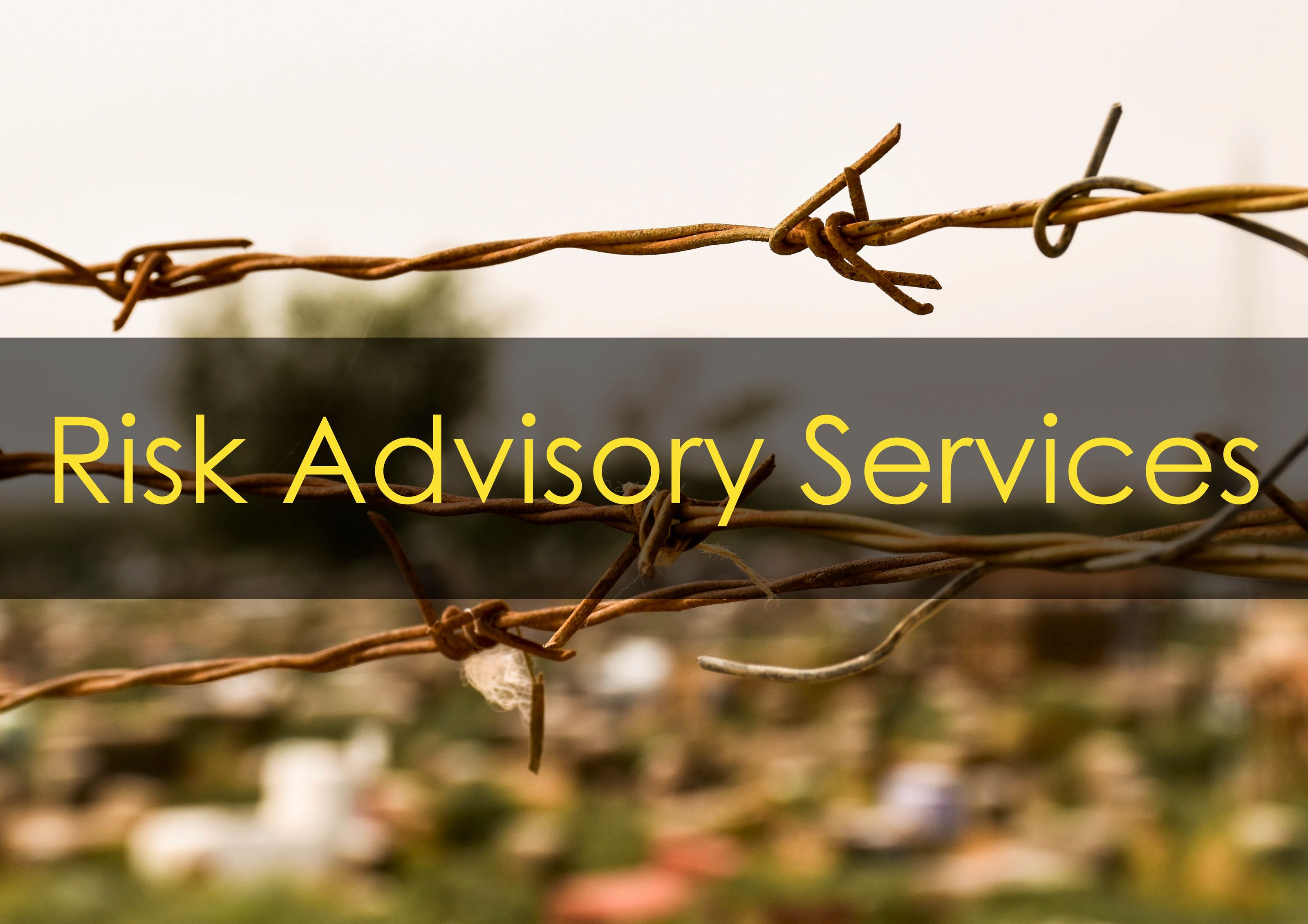 International Location Safety (ILS) | Travel Risk Management, Risk ...