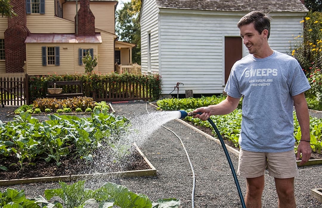 Sweeps | Delightful, Local Movers & More