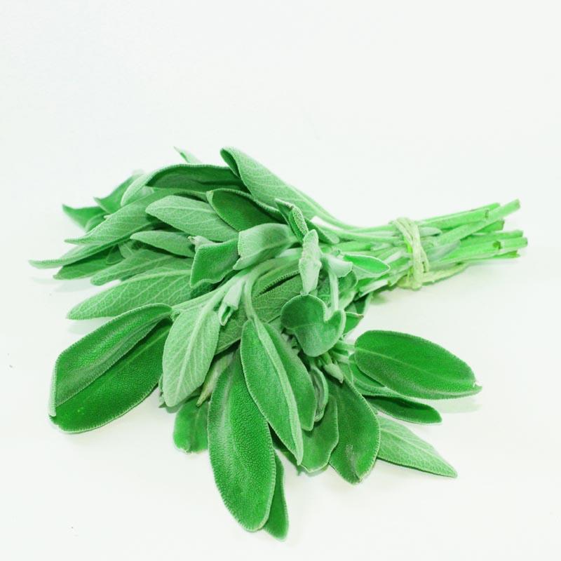 Sage | Dosner Organic Farms | Organic Produce