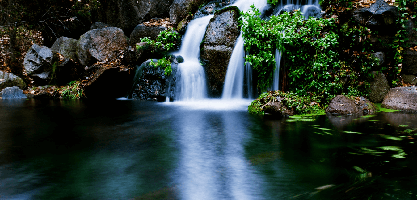 Doris Ulysse - UX / Website Designer