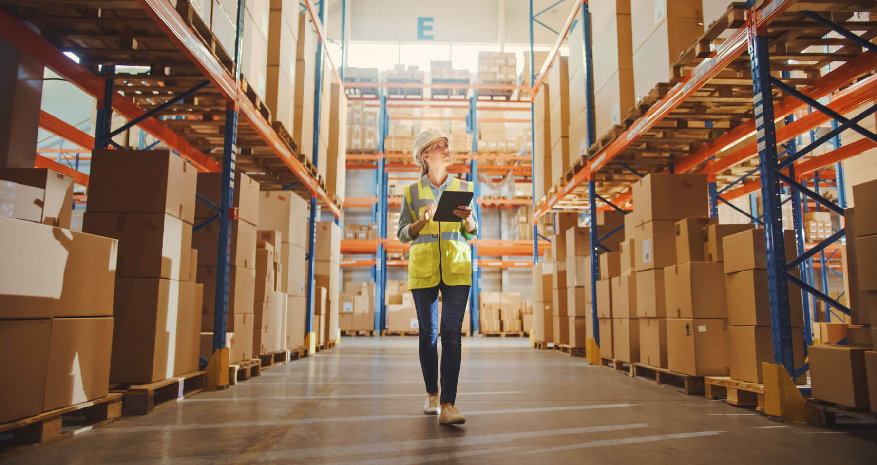 The Importance Of Project Management In Logistical Processes Allex Blog