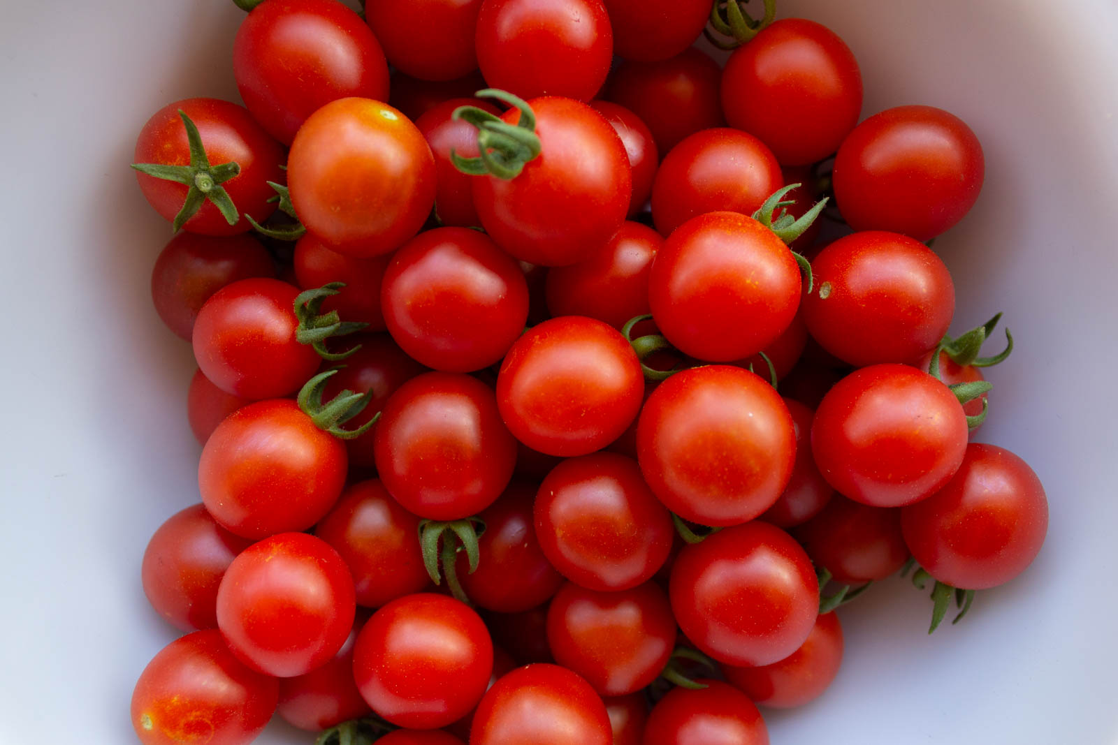 A Guide to Cherry Tomatoes