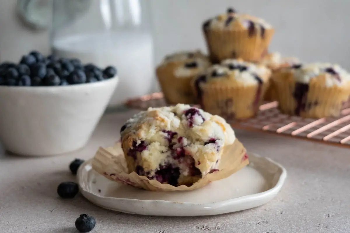 Small Batch Blueberry Muffins with Crumb Topping