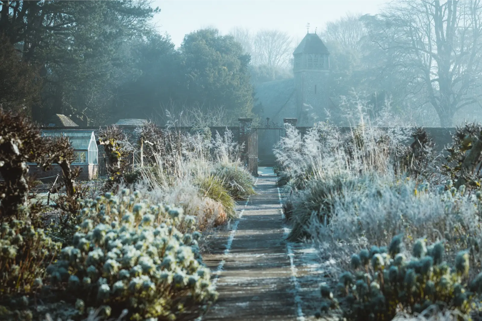 5 Things To Do in the Winter For Your Garden