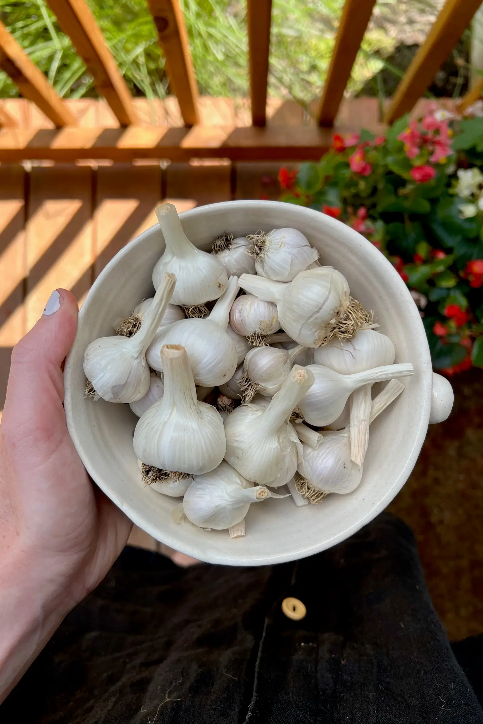 Guide to Growing and Harvesting Garlic