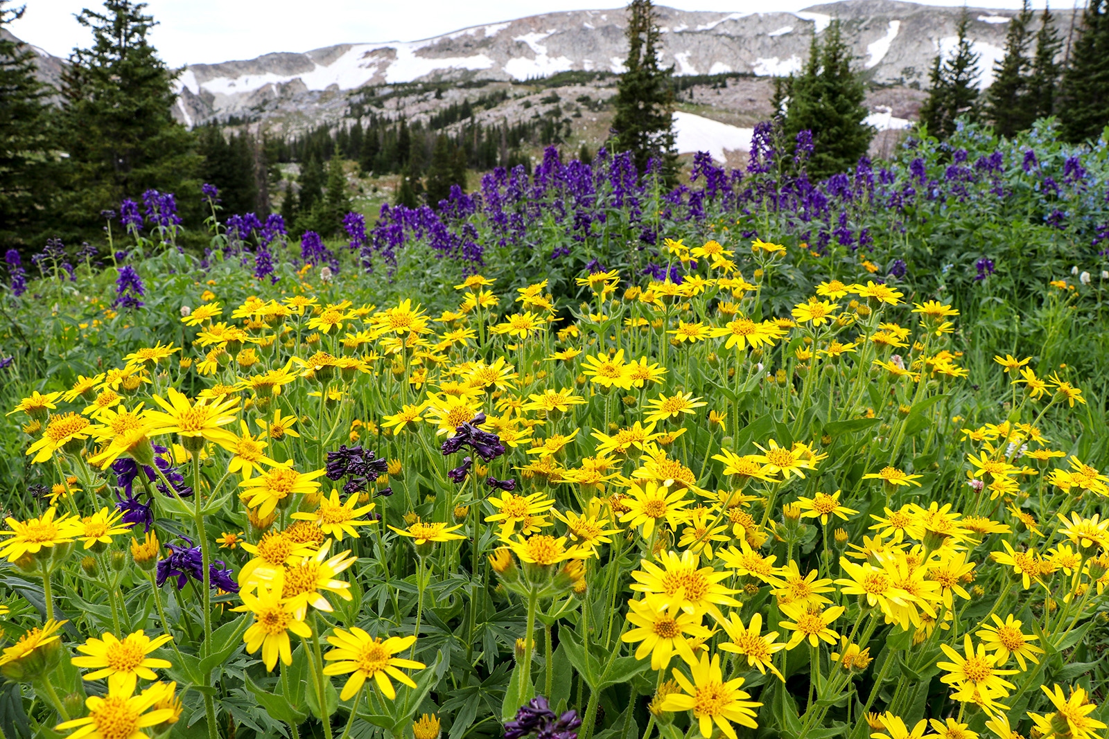 Plan Your Visit to Southern Wyoming