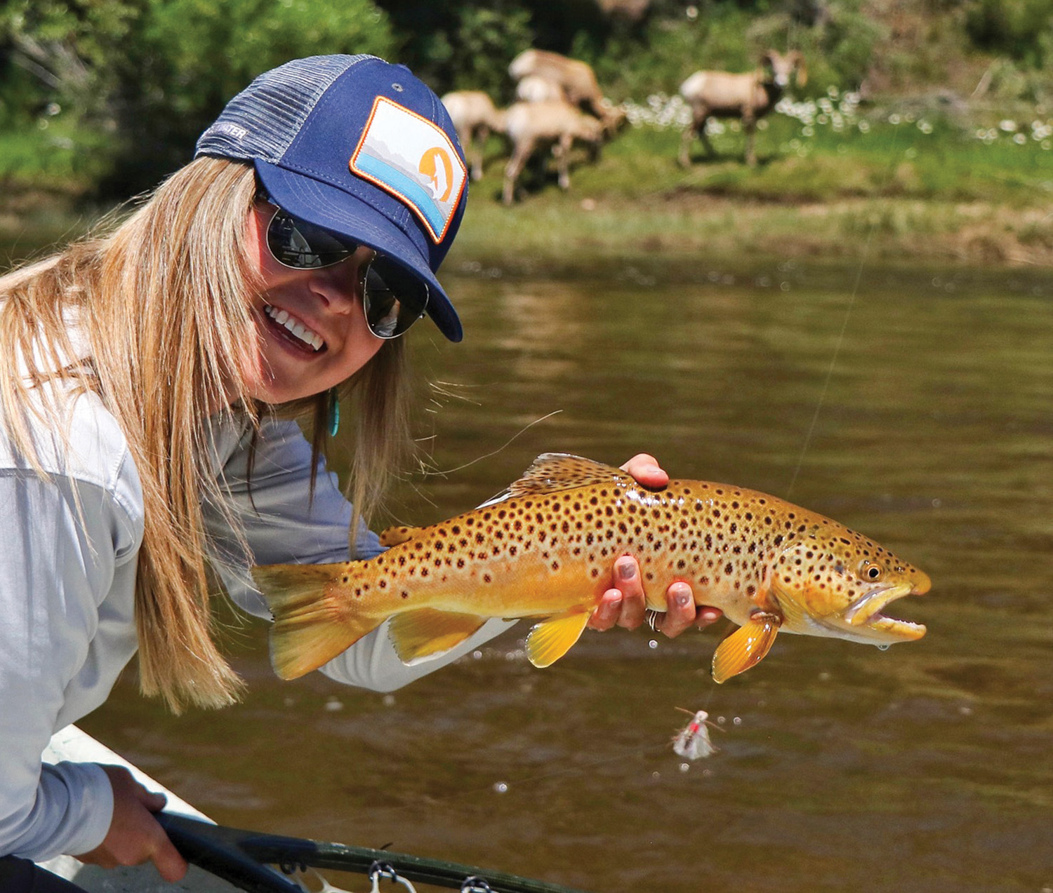 The Best Times To Fish the North Platte River from Saratoga