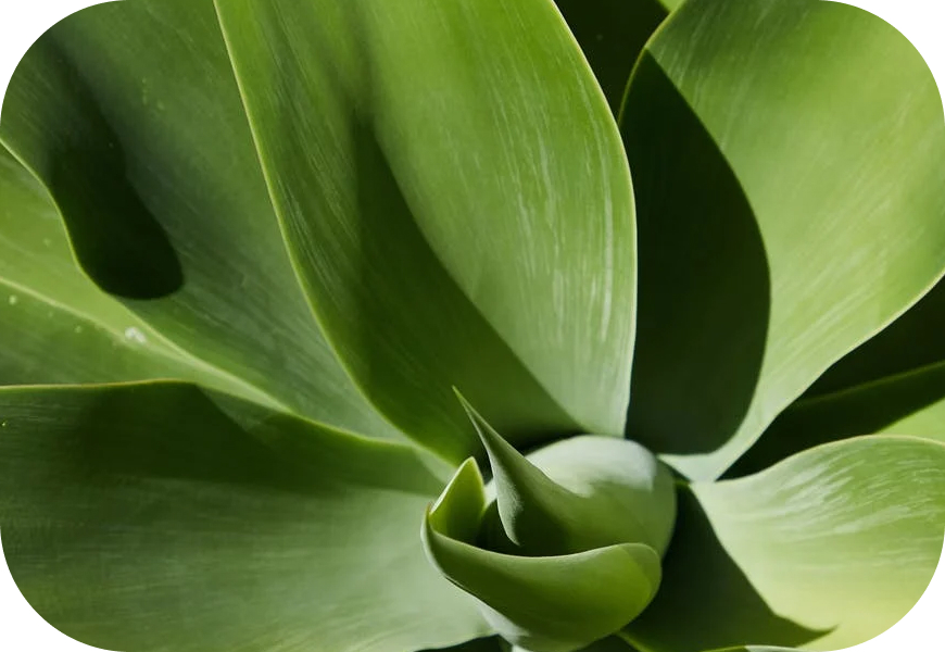 The Mayor's Youth Employment and Education Program (MYEEP)