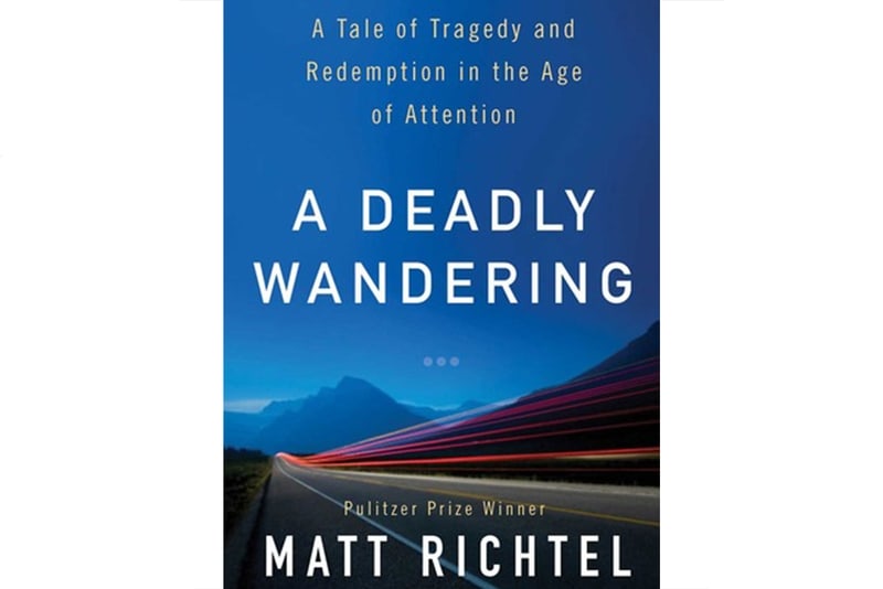 A Deadly Wandering book summary