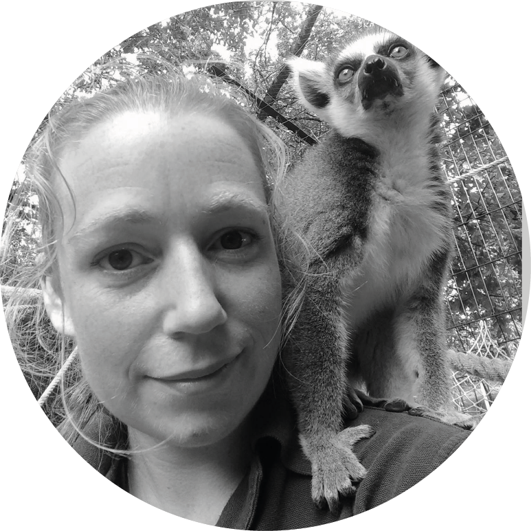 Laura Martin, Artist Biography and Gallery | The Art Post