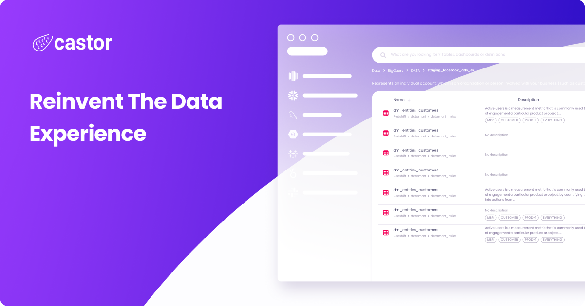 Castor - Bring trust and visibility to your data