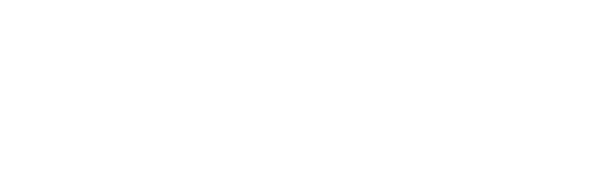 101 Fellowship - Get into the world of Venture Capital