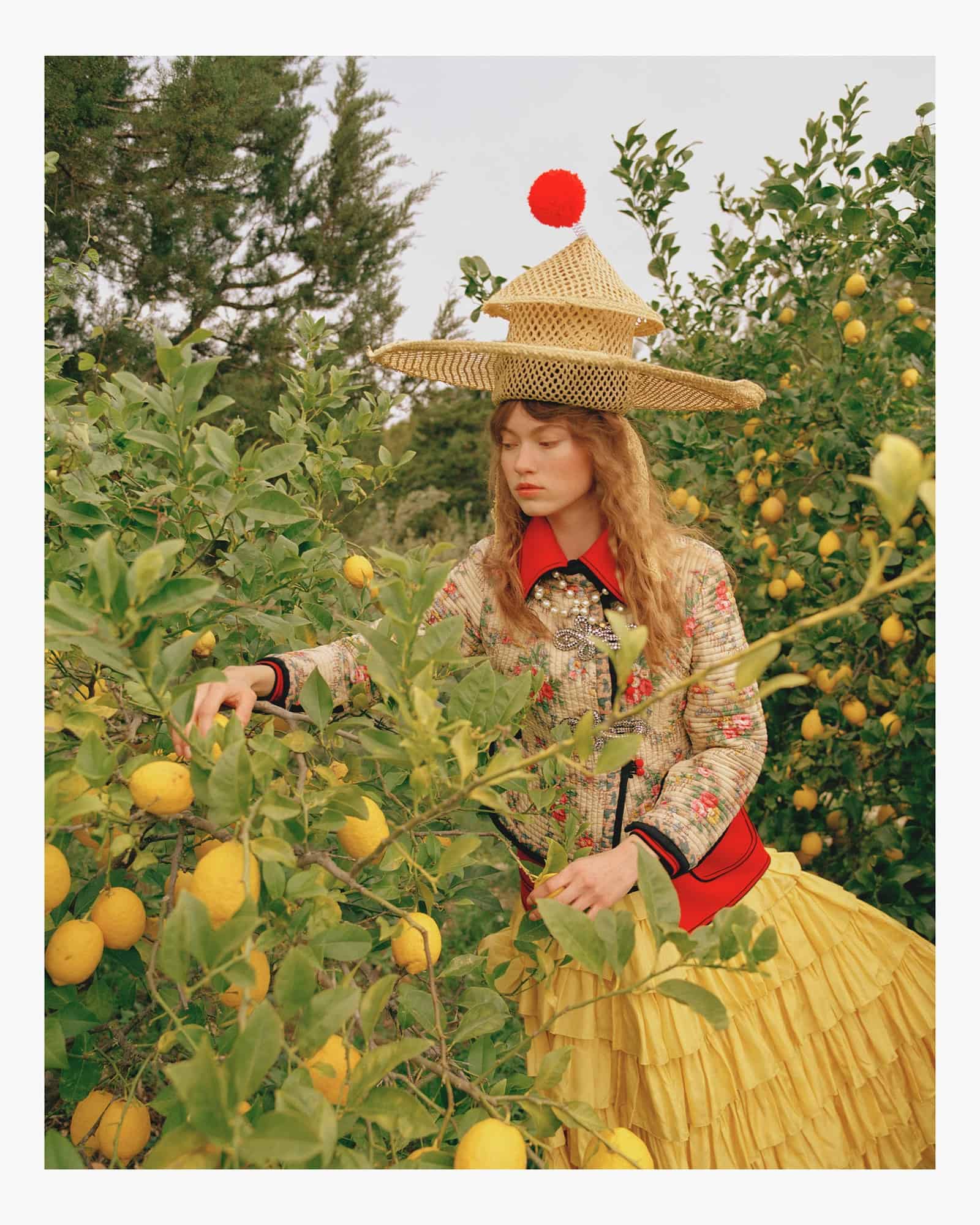 Photography by James Perolls