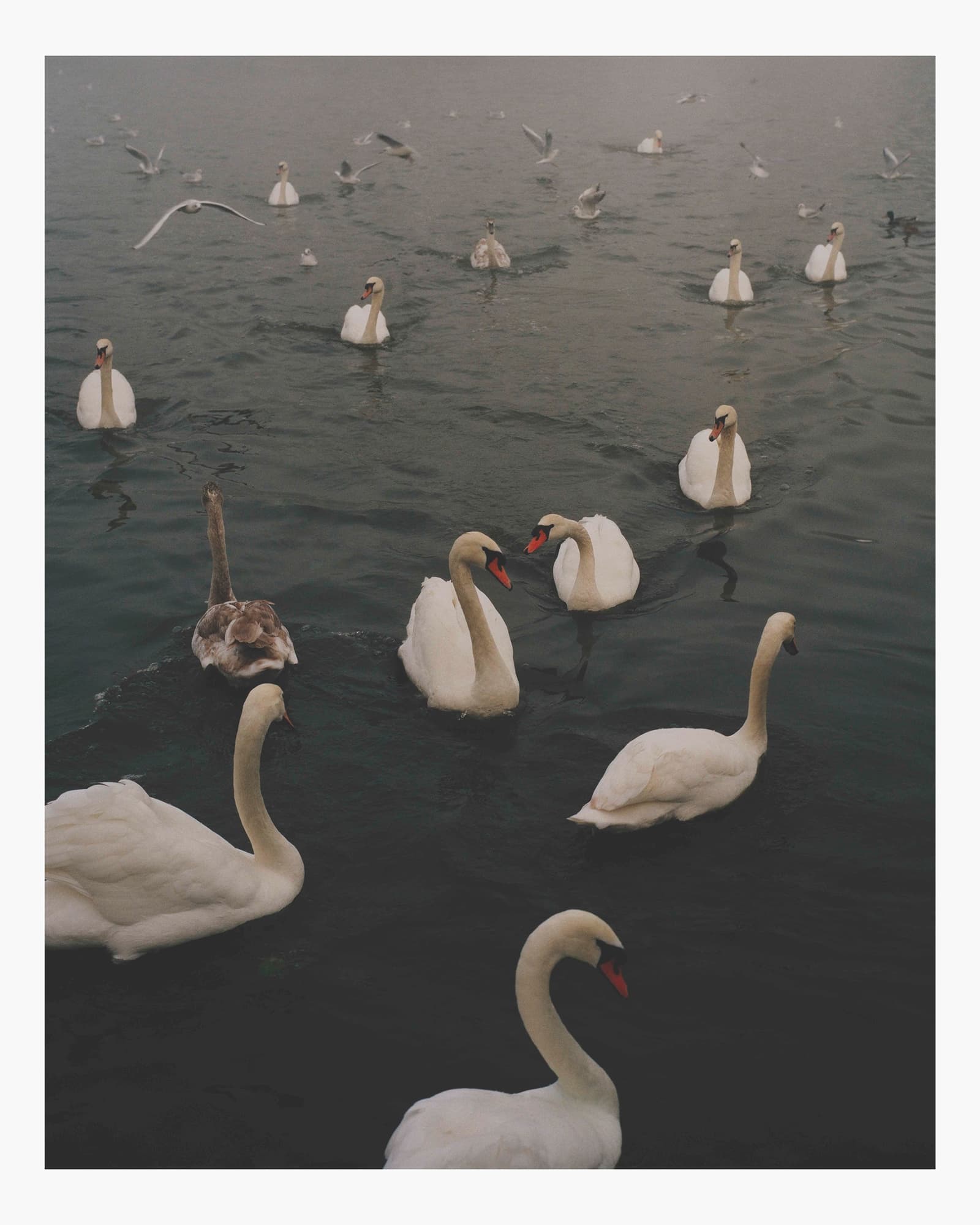Photography by James Perolls