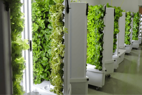 Indoor Agriculture - Fluxspace