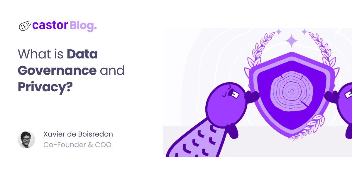 What is Data Governance and Privacy? - Castor Blog