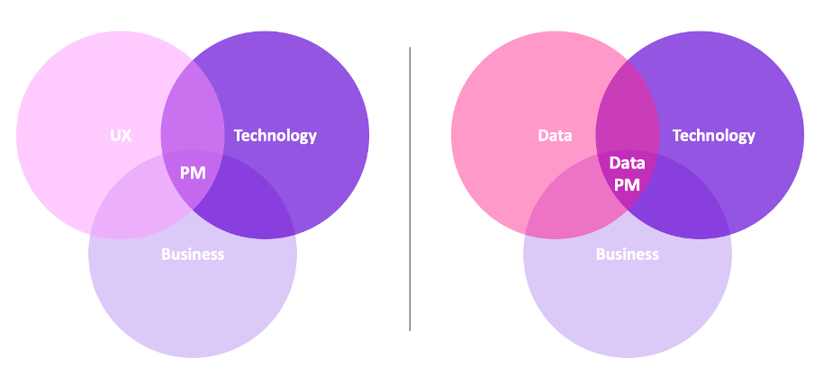What is Data Product Management? - Castor Blog
