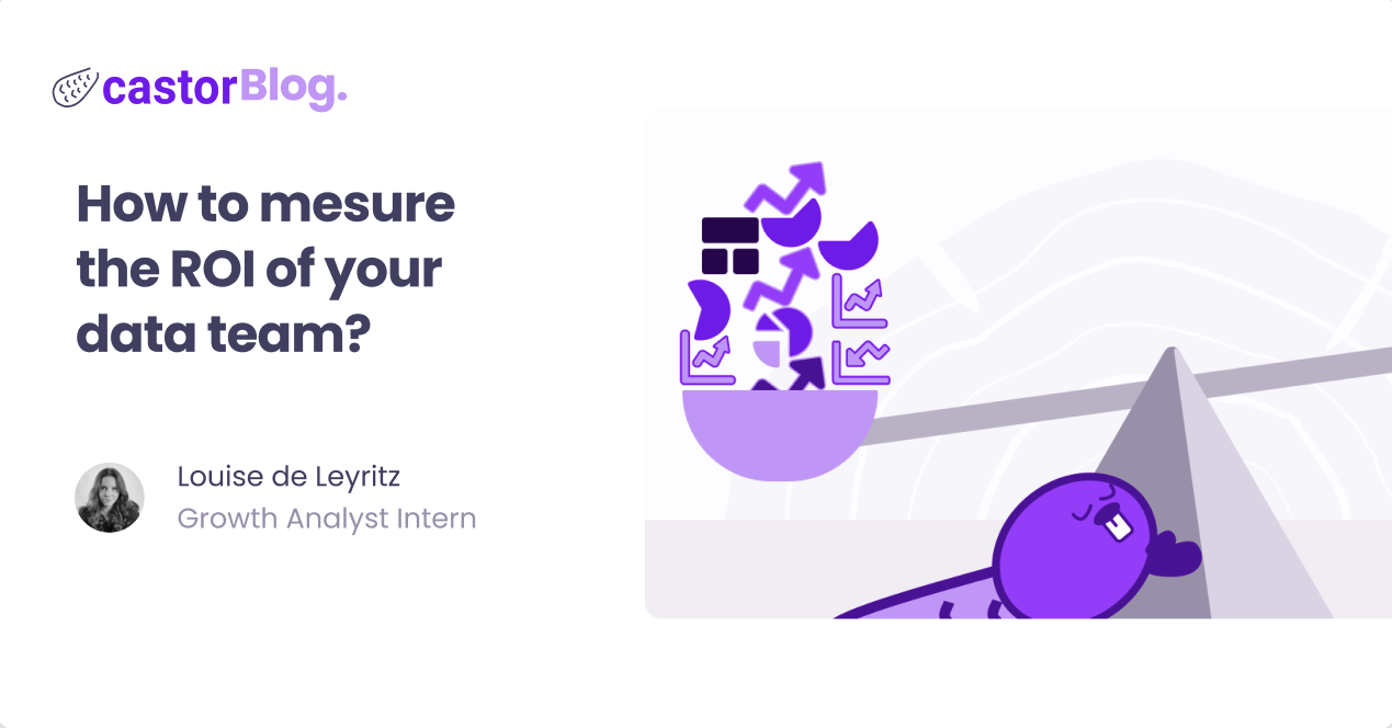How to measure the ROI of your data team? - Castor Blog