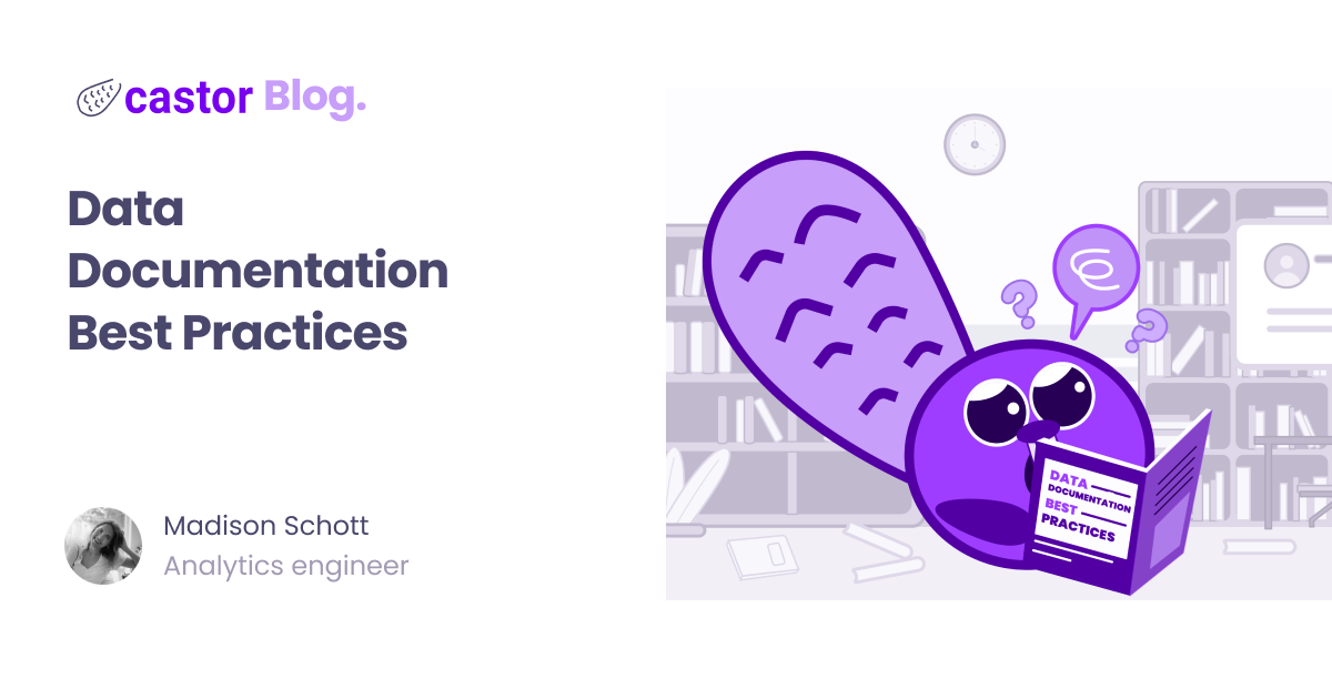 Data Documentation Best Practices - Castor Blog