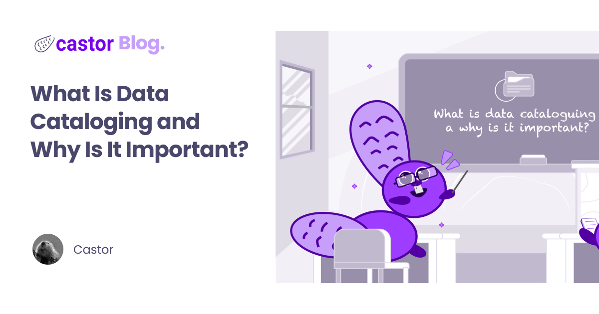 What Is Data Cataloging and Why Is It Important? - Castor Blog