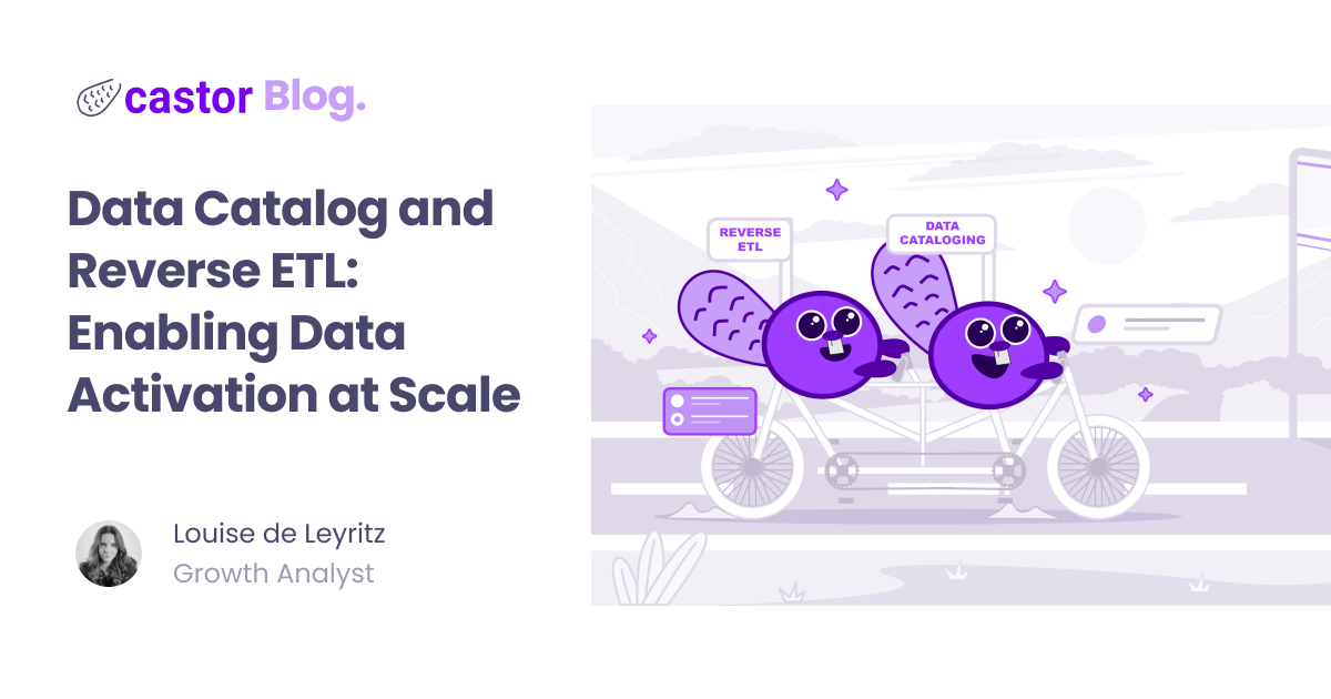 Data Catalog and Reverse ETL: Enabling Data Activation at Scale ...