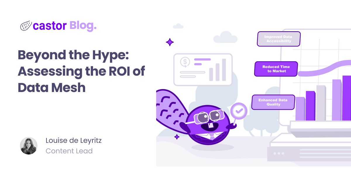 Data Mesh ROI - A Primer - Castor Blog