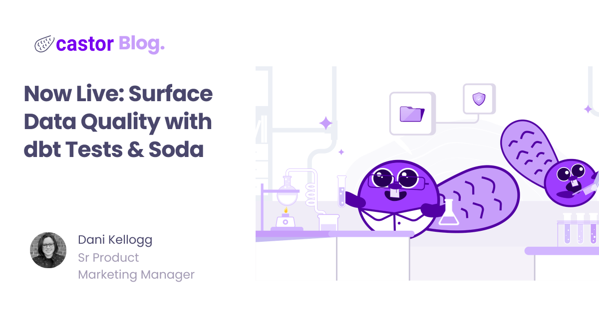 Now Live: Surface Data Quality with dbt Tests & Soda - Castor Blog