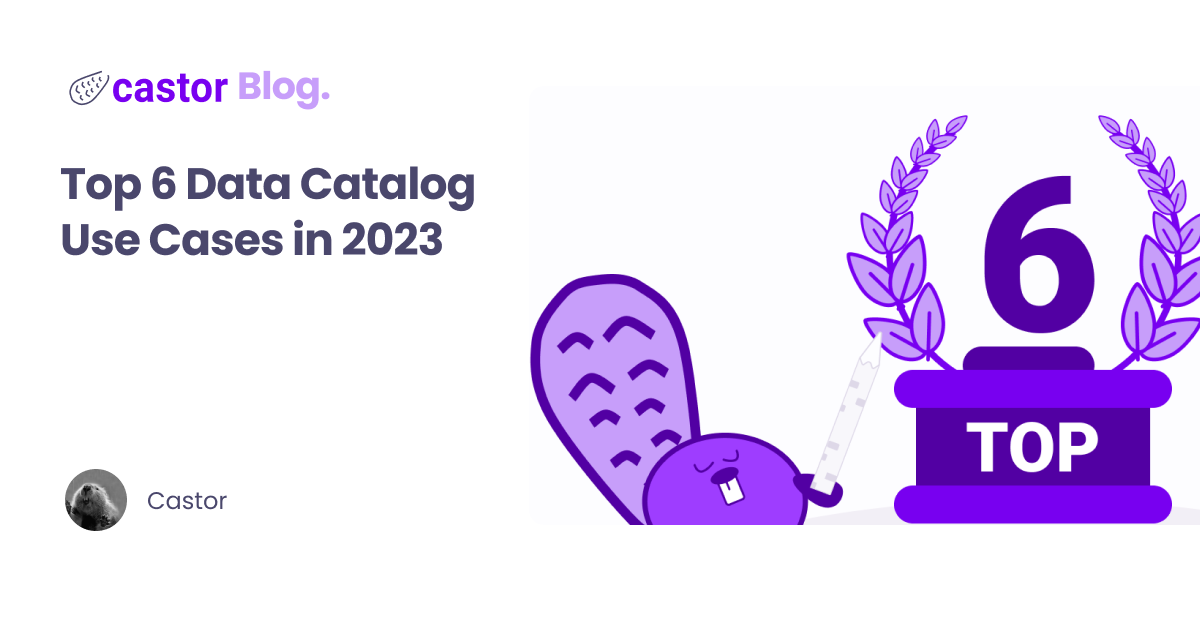 Top 6 Data Catalog Use Cases in 2023 - Castor Blog