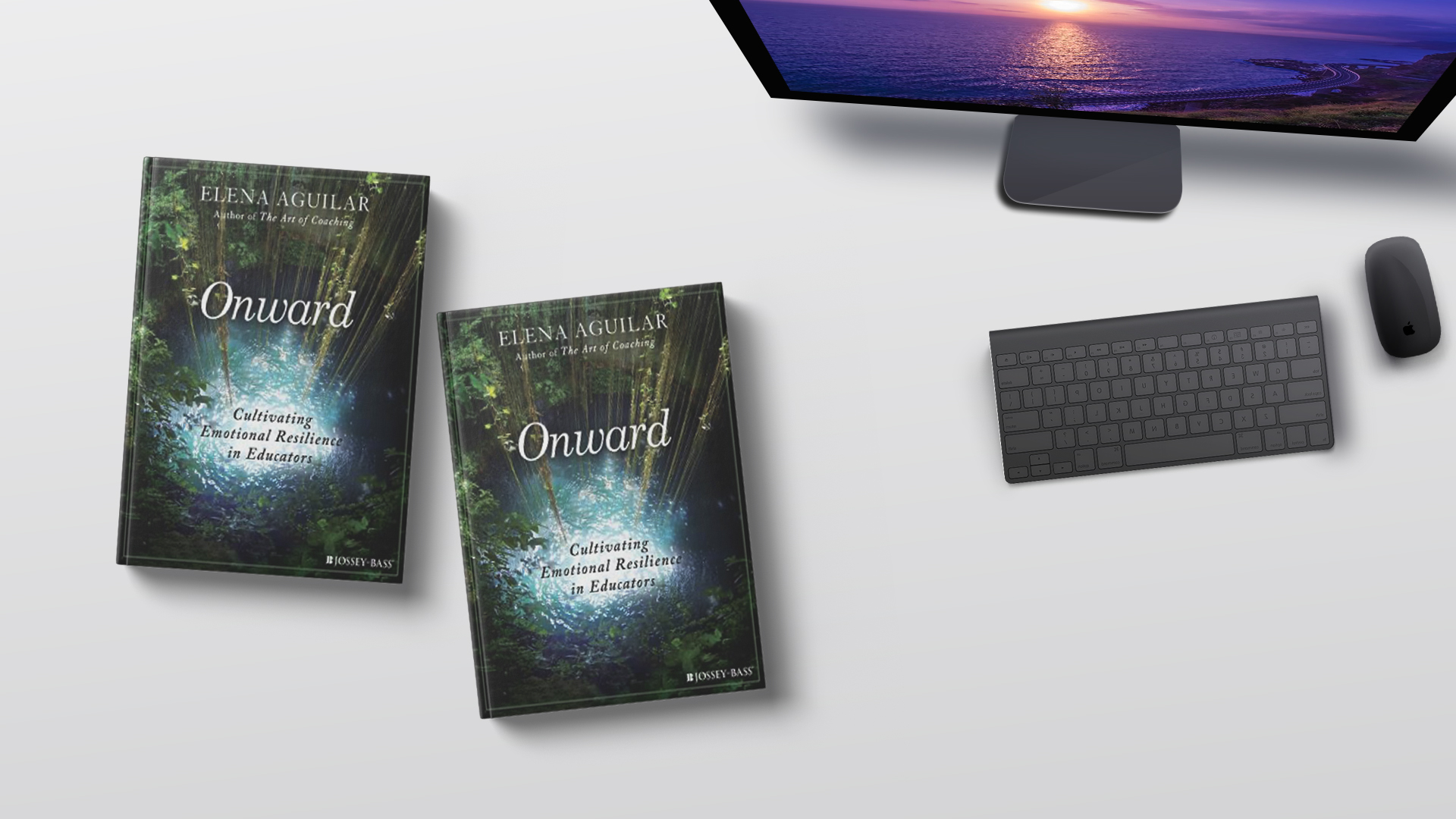 Book Summary: Onward By Elena Aguilar, 53% OFF