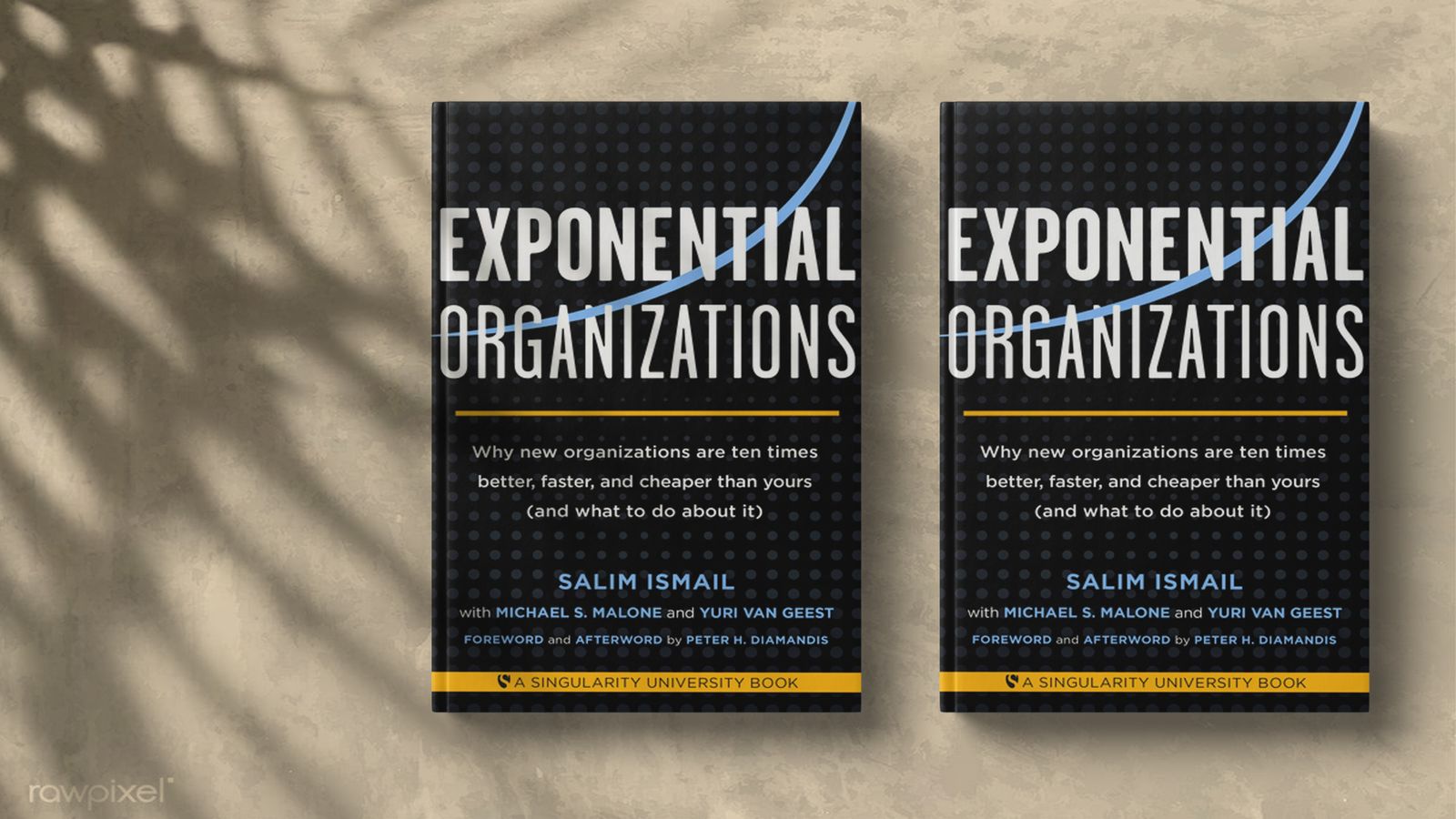 Book summary: Exponential Organizations