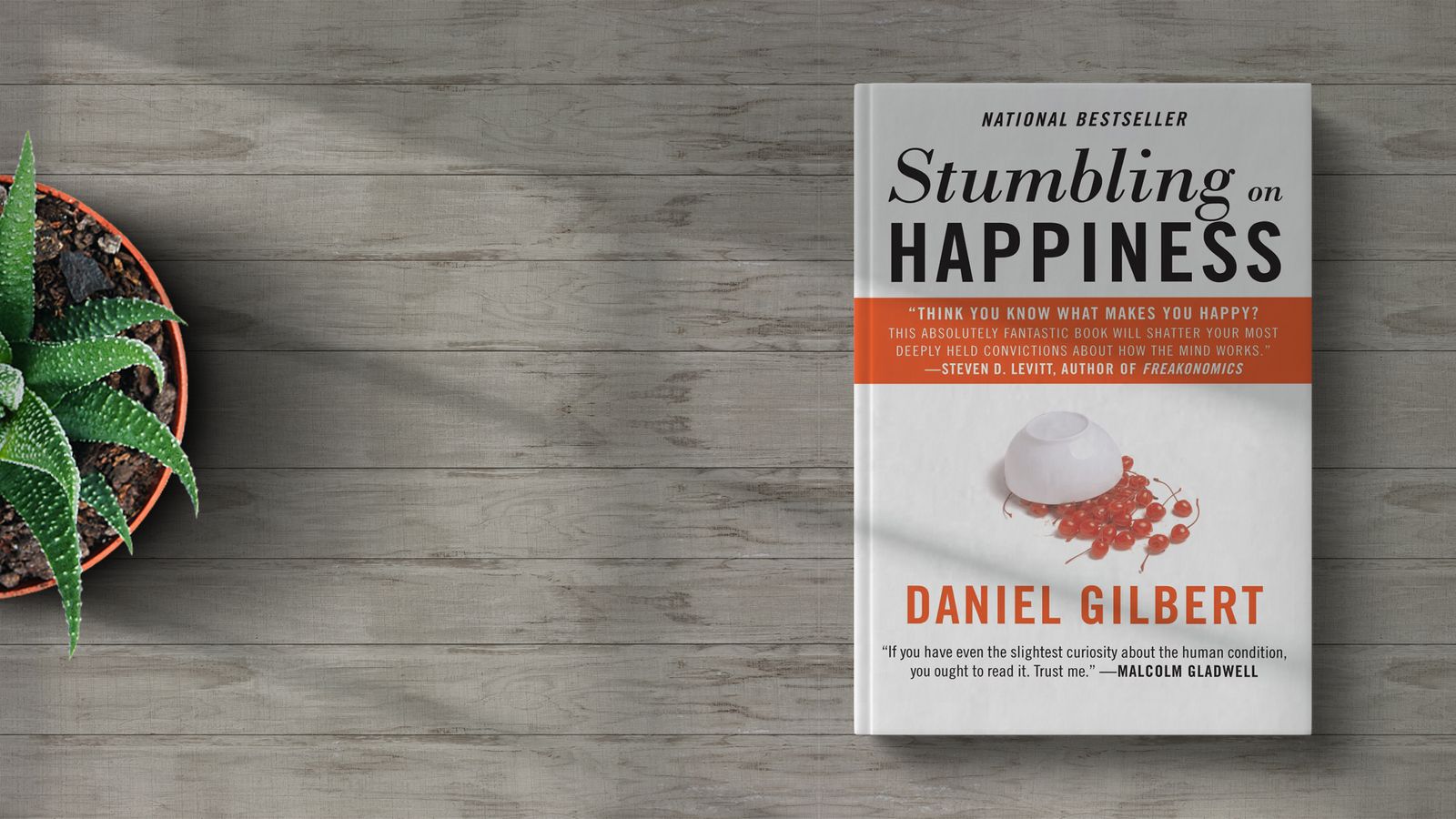 Book Summary: Stumbling Upon Happiness