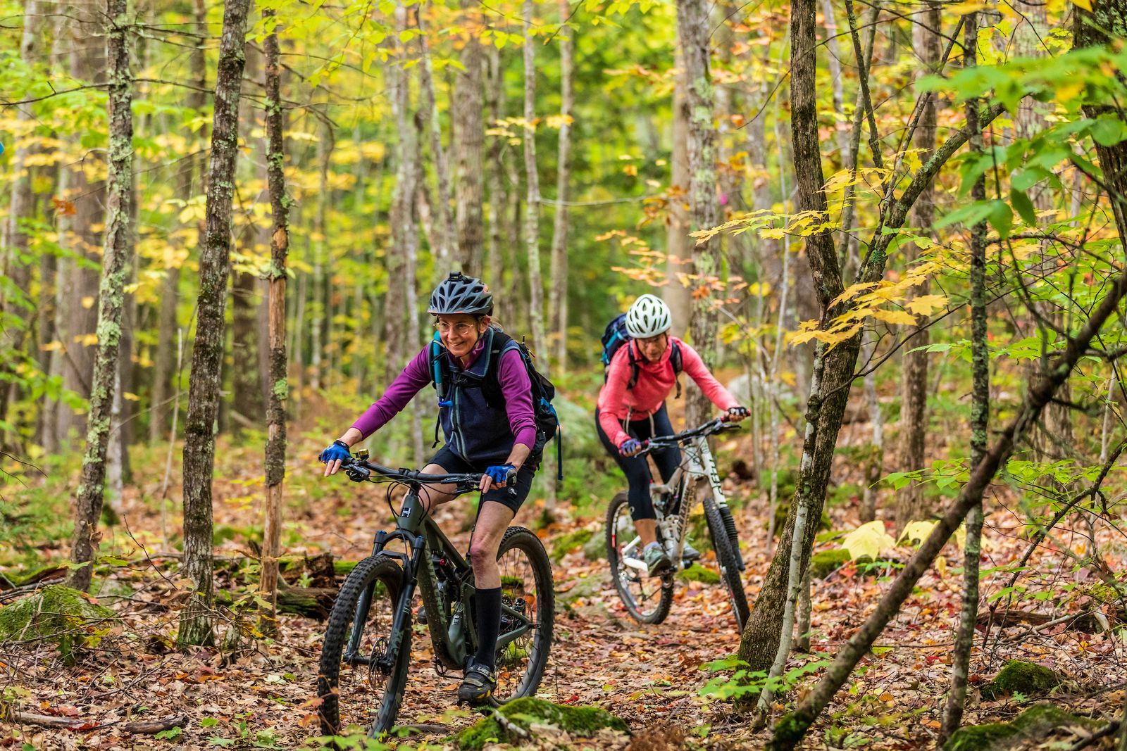 Loon Echo Land Trust: Explore Raymond Community Forest