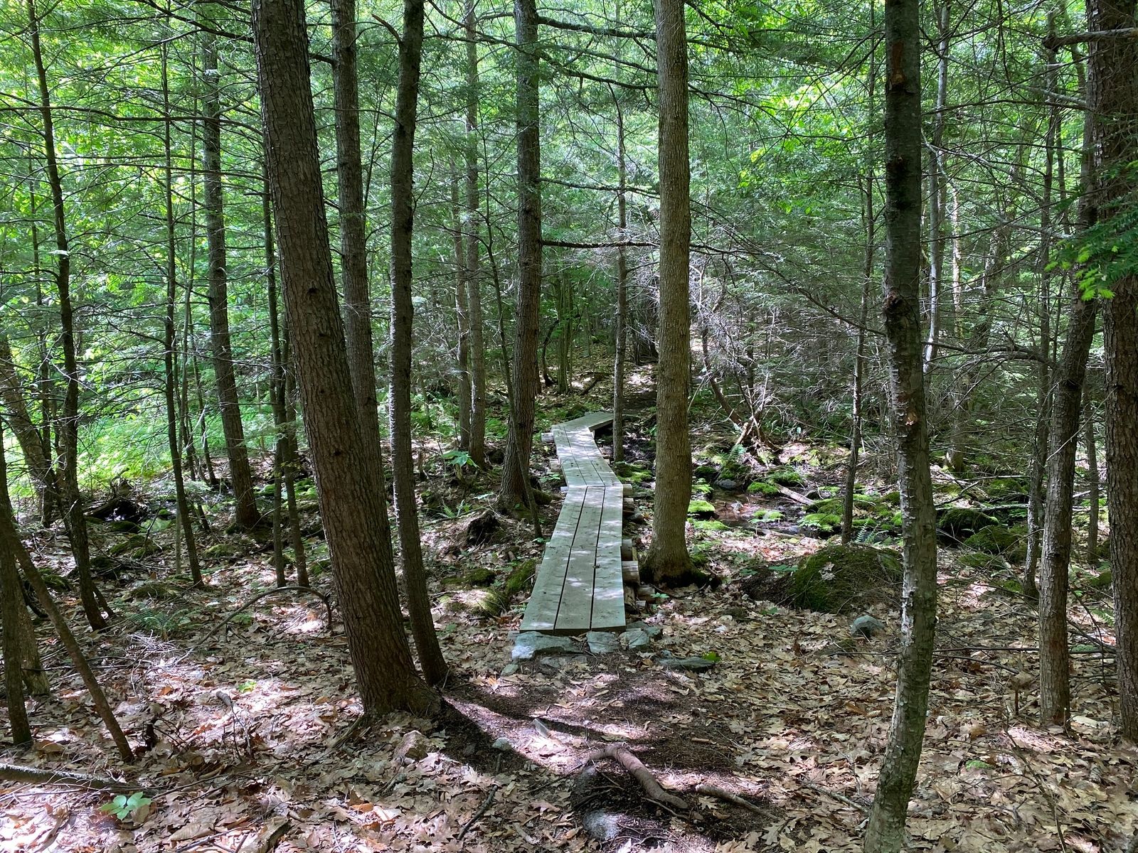 Loon Echo Land Trust: Explore Raymond Community Forest